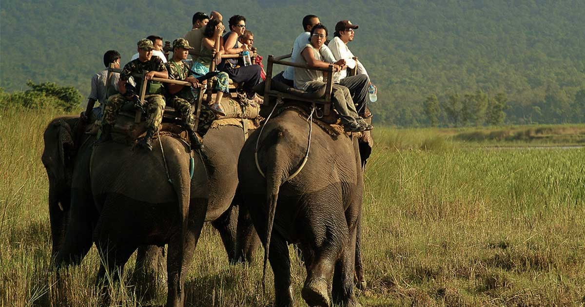 Top 7 Adventure Activities in Chitwan National Park of Nepal